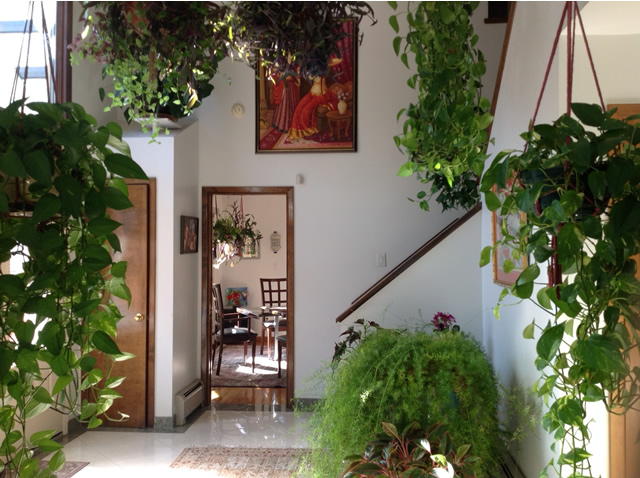 Let's Take a Walk Inside! - Fine Gardening