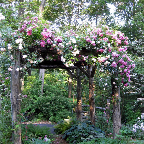 Fairy Tale Garden Ideas