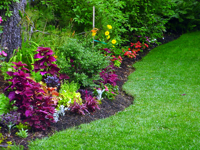 Late Spring Garden - Fine Gardening