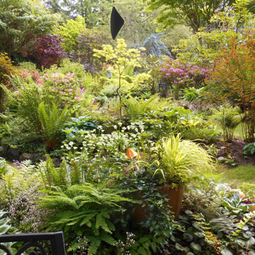 Spring in Puget Sound - Fine Gardening