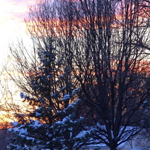 Snowy Saturday in Pennsylvania - Fine Gardening