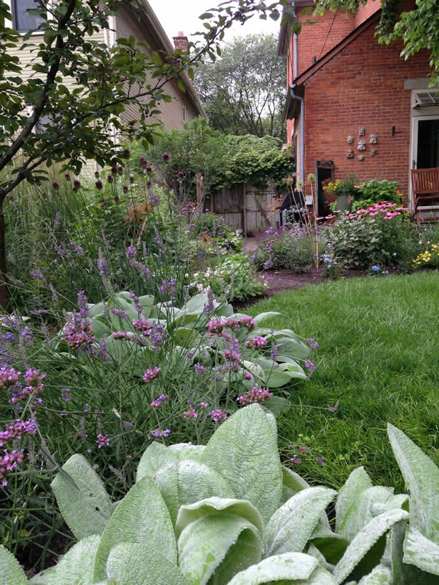 An urban garden featuring a circle of grass - Fine Gardening