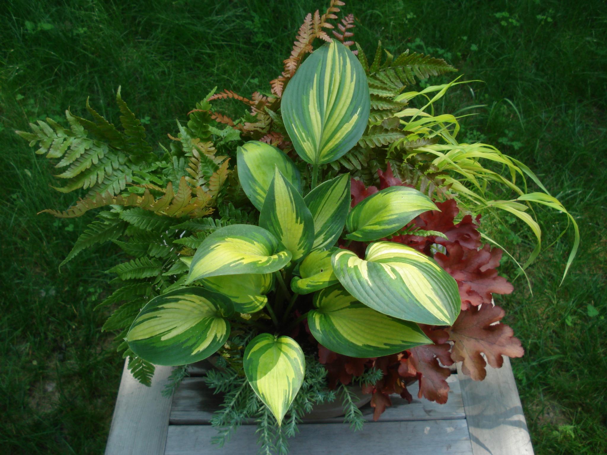 Containers by Lynn in Wisconsin - Fine Gardening