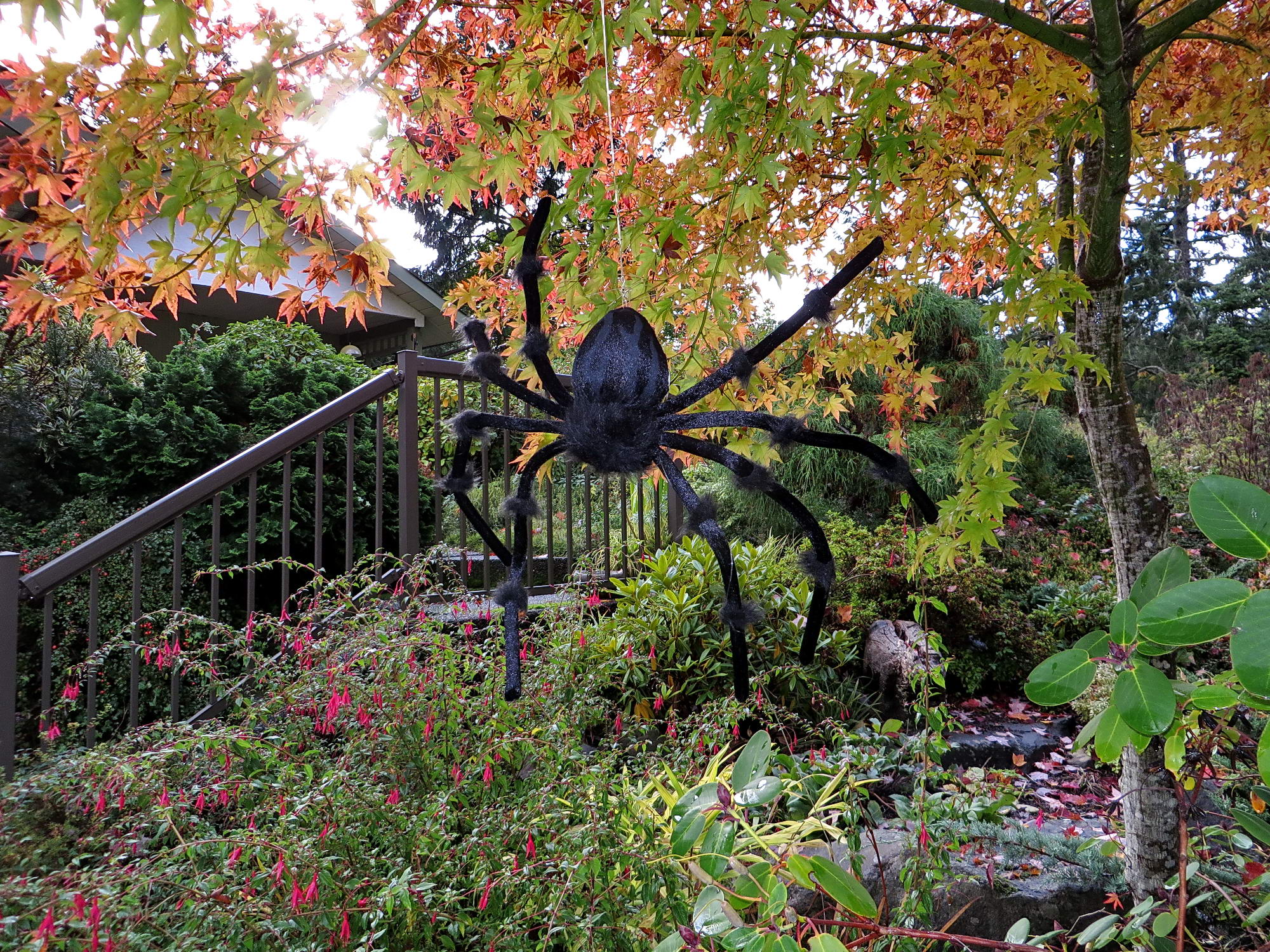 The Last Gasp of Fall in May's Garden, Day 1 of 3 - Fine Gardening