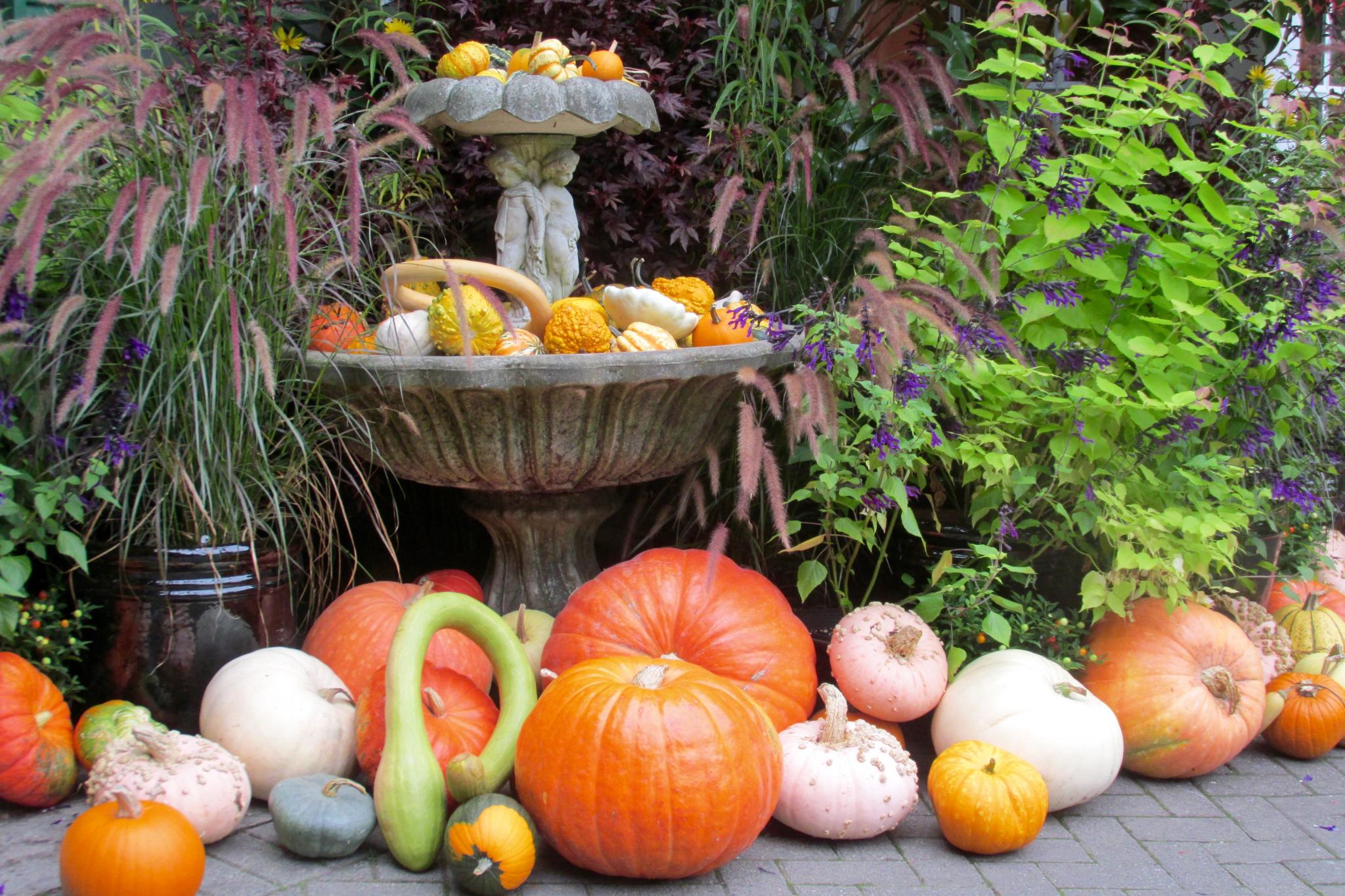 Fall displays at Butchart Gardens - FineGardening