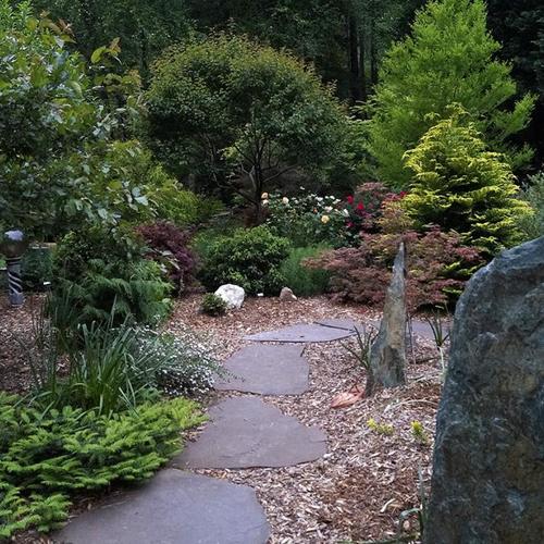 David's garden in North Carolina, Day 2 - Fine Gardening