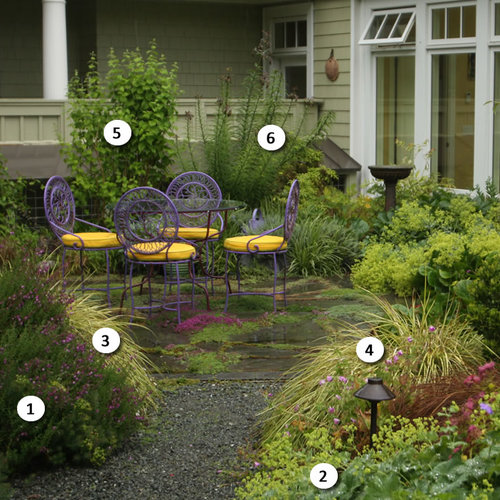 Designing an Intimate Space: Plant IDs - Fine Gardening