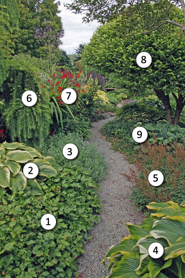 Plant ID's - Got a Passion for Plants? - Fine Gardening