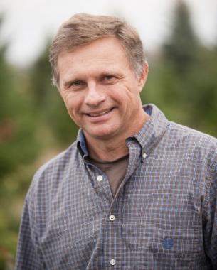 How to Prune Pine Trees - FineGardening