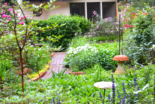 Nancy's butterfly (and more!) garden in South Carolina - Fine Gardening