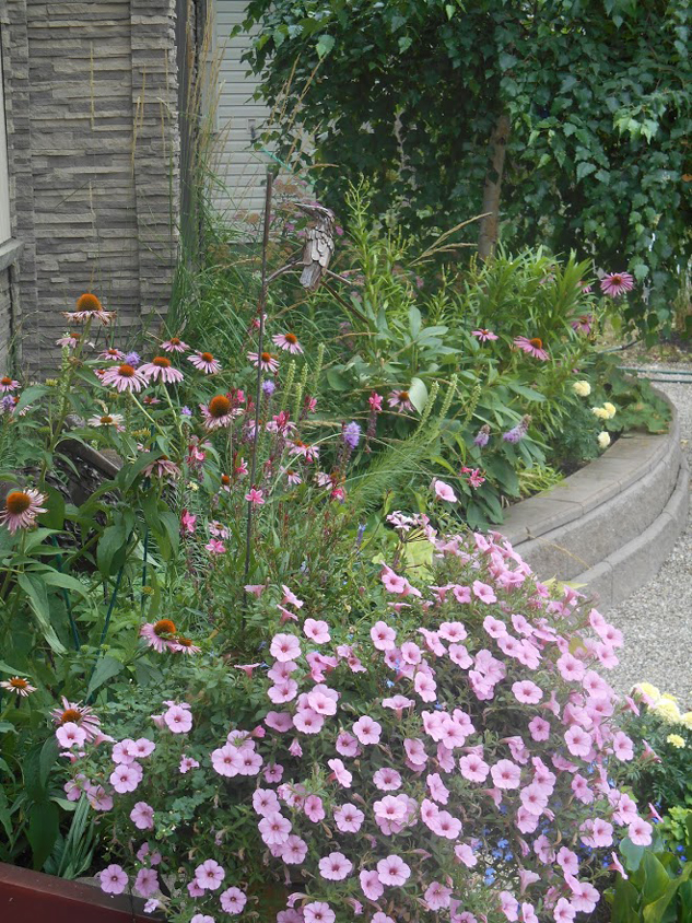 Susan's reclaimed runway garden in British Columbia - Fine Gardening