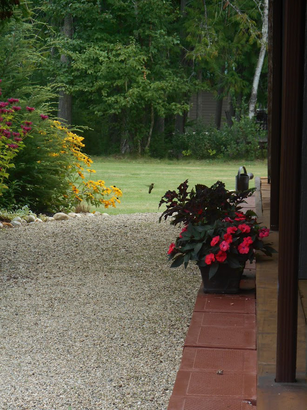 Susan's reclaimed runway garden in British Columbia - Fine Gardening