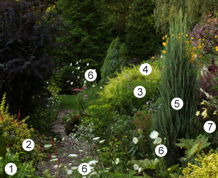 Building Better Borders - Fine Gardening