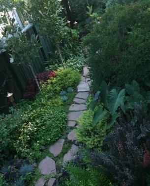 Plant IDs: A Dynamic Design for a Garden Passageway - Fine Gardening