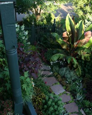 Plant IDs: A Dynamic Design for a Garden Passageway - Fine Gardening