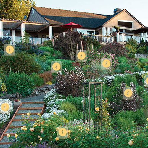 Interactive Graphics: Impress from a distance, and more... - Fine Gardening