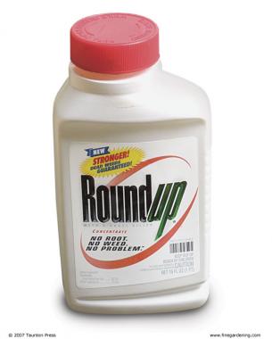 Is Roundup Right for You? - Fine Gardening