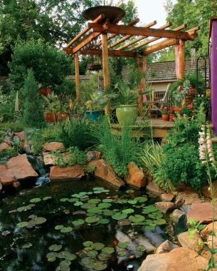 Bringing Sun and Shade Together - Fine Gardening