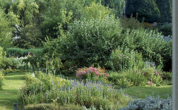 A Room with a View - Fine Gardening
