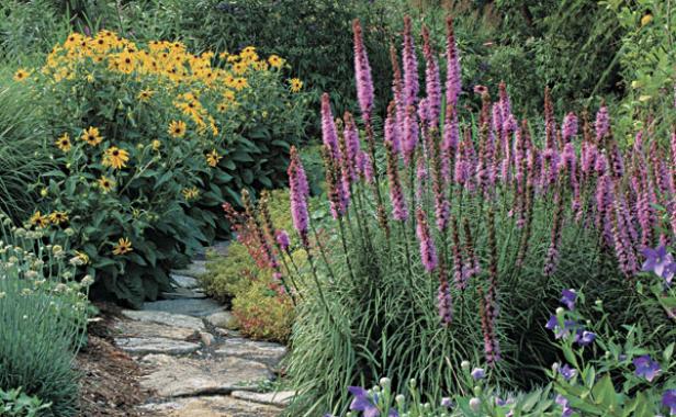 Mass Plantings - Fine Gardening