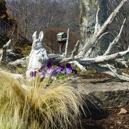 Spring in Michaele's garden in Tennessee - Fine Gardening