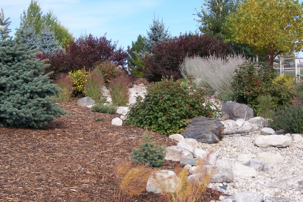 Nina's dry stream bed in Montana - Fine Gardening