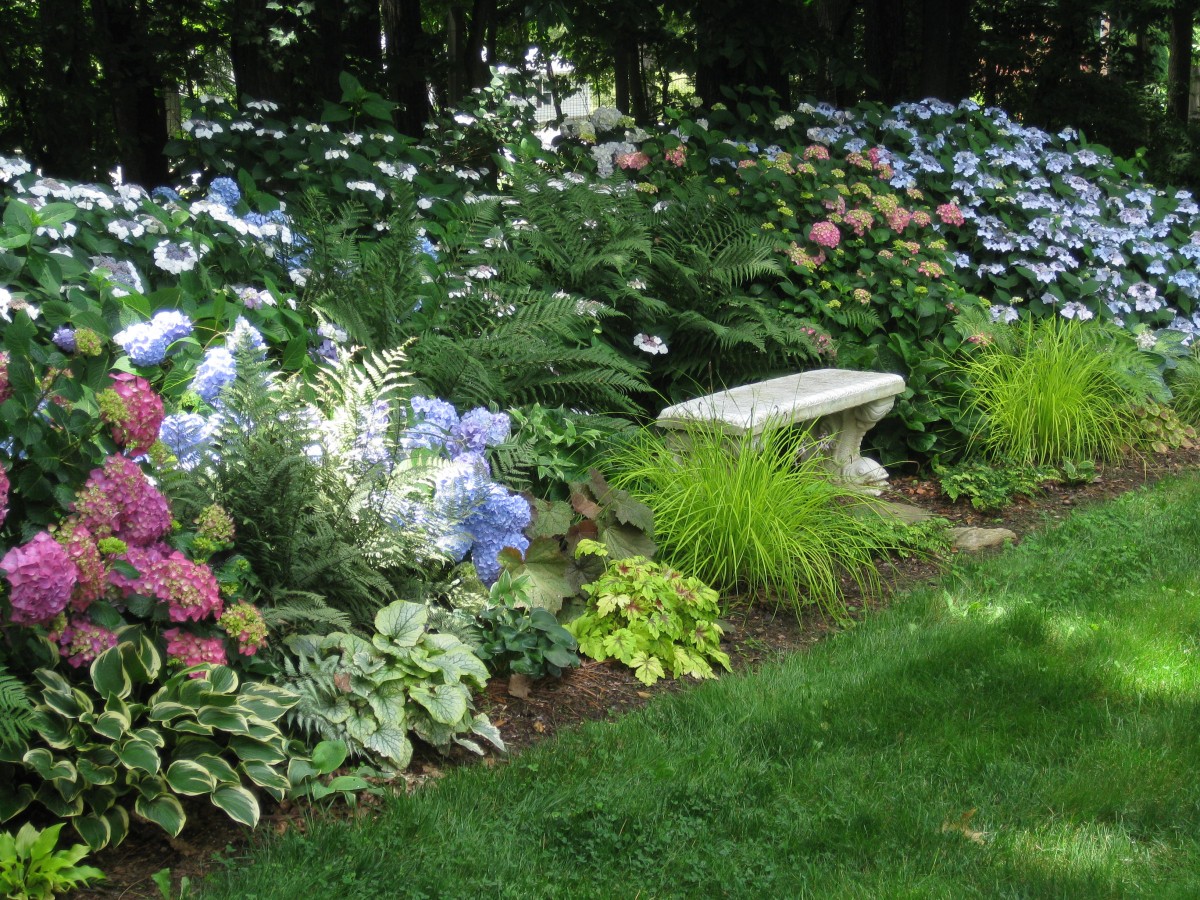 Summer in Nancy's garden in Maryland - Fine Gardening