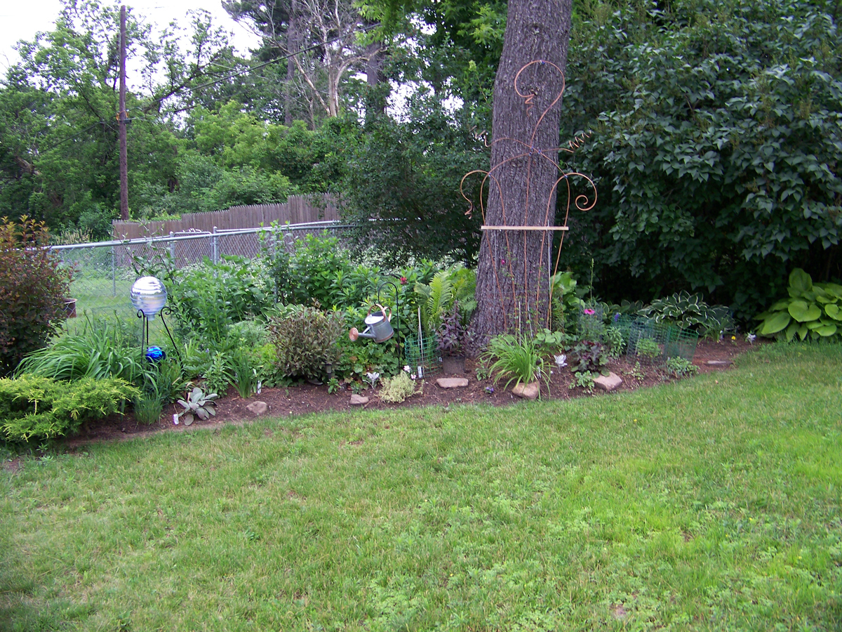 Revisiting Carol Jean in Wisconsin, Including a Before and After ...