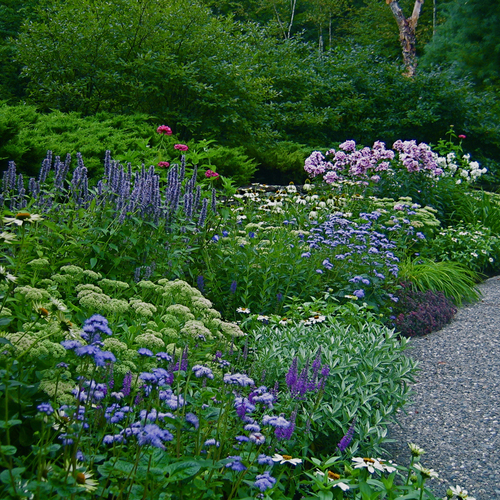Veronica's garden in New Hampshire, revisited - Fine Gardening