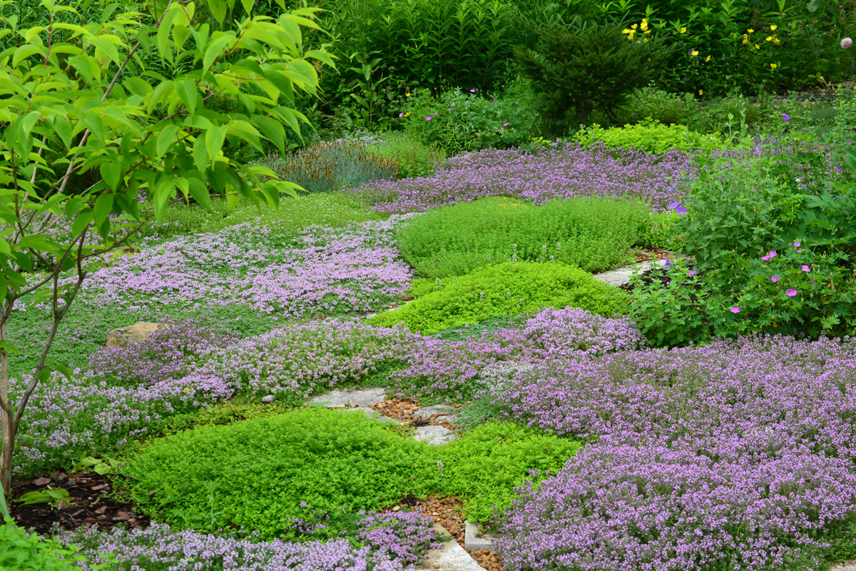 Deb & Ray's garden in Illinois - Fine Gardening