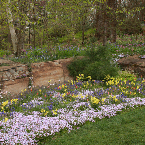 Spring at Chanticleer, Day 1: Bulbs, Stone, and the Bulb Meadow - Fine ...
