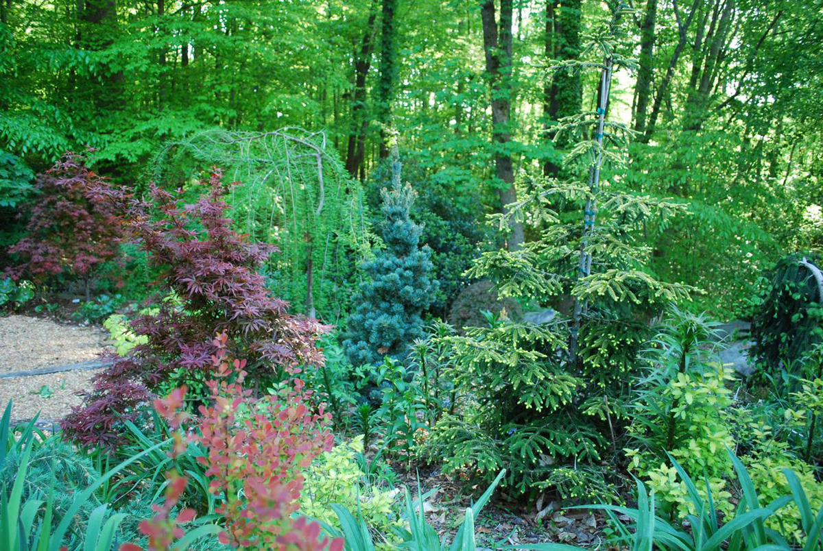 Jay's garden in North Carolina, revisited - Fine Gardening