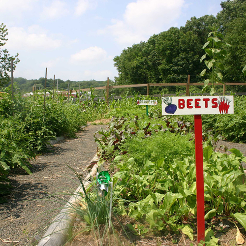 Gardening with kids at Green Chimneys Farm and School in New York ...
