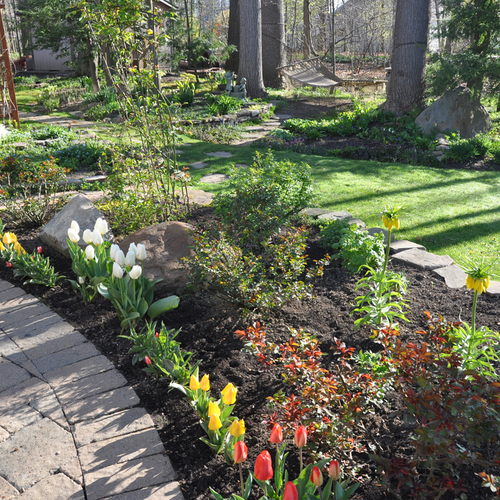 Spring in Daniela's garden in Ohio - Fine Gardening