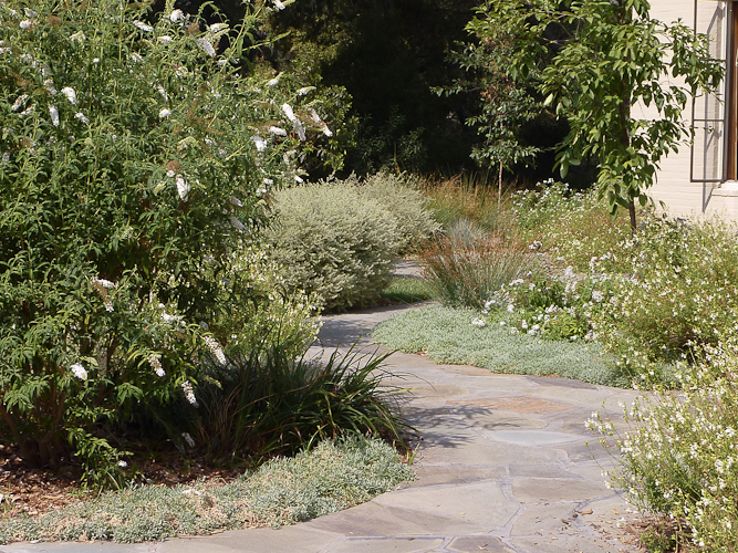 Garden Design Basics: A Battle Between Stuff and Space - Fine Gardening