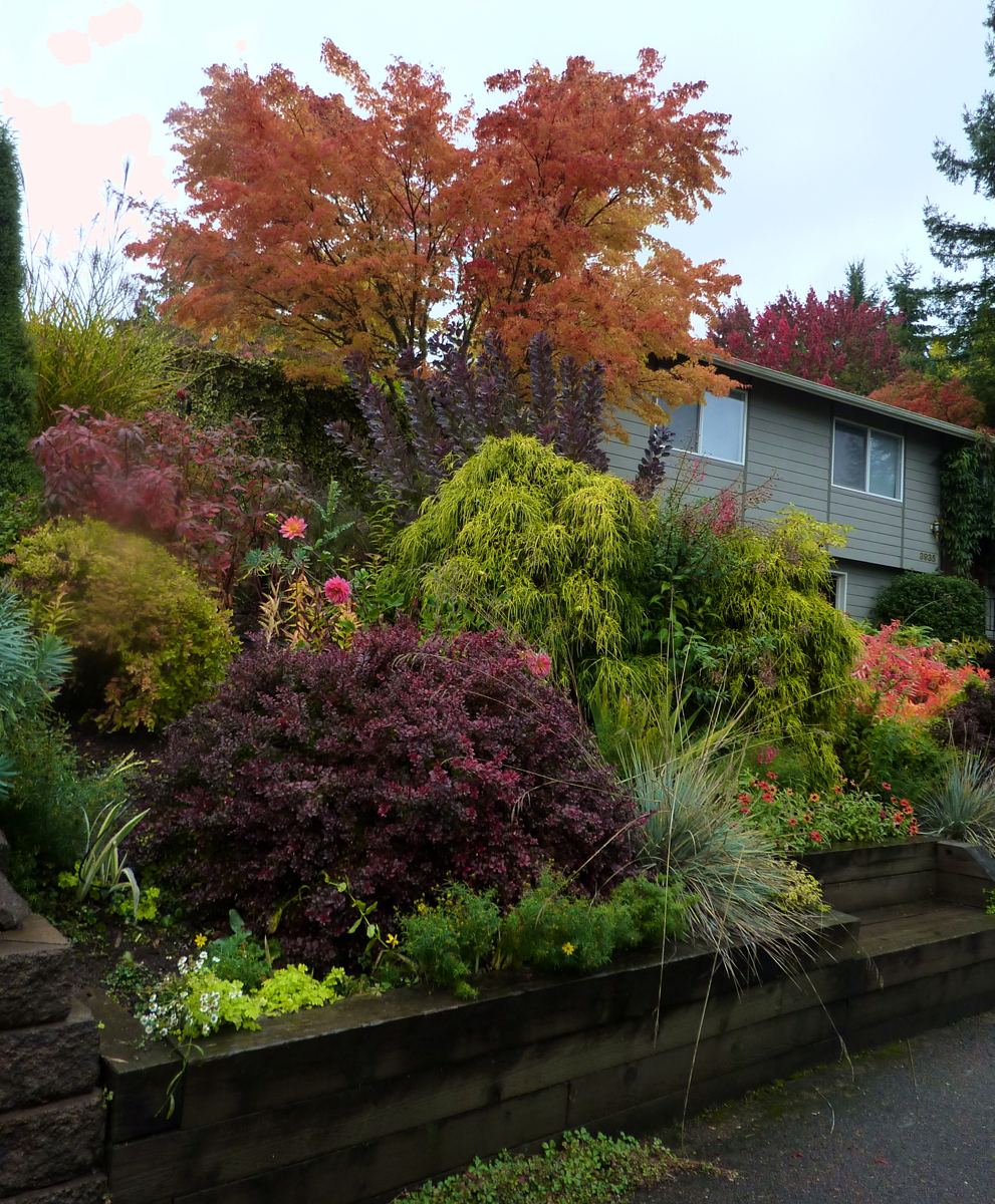Nancy's garden in Oregon - Fine Gardening