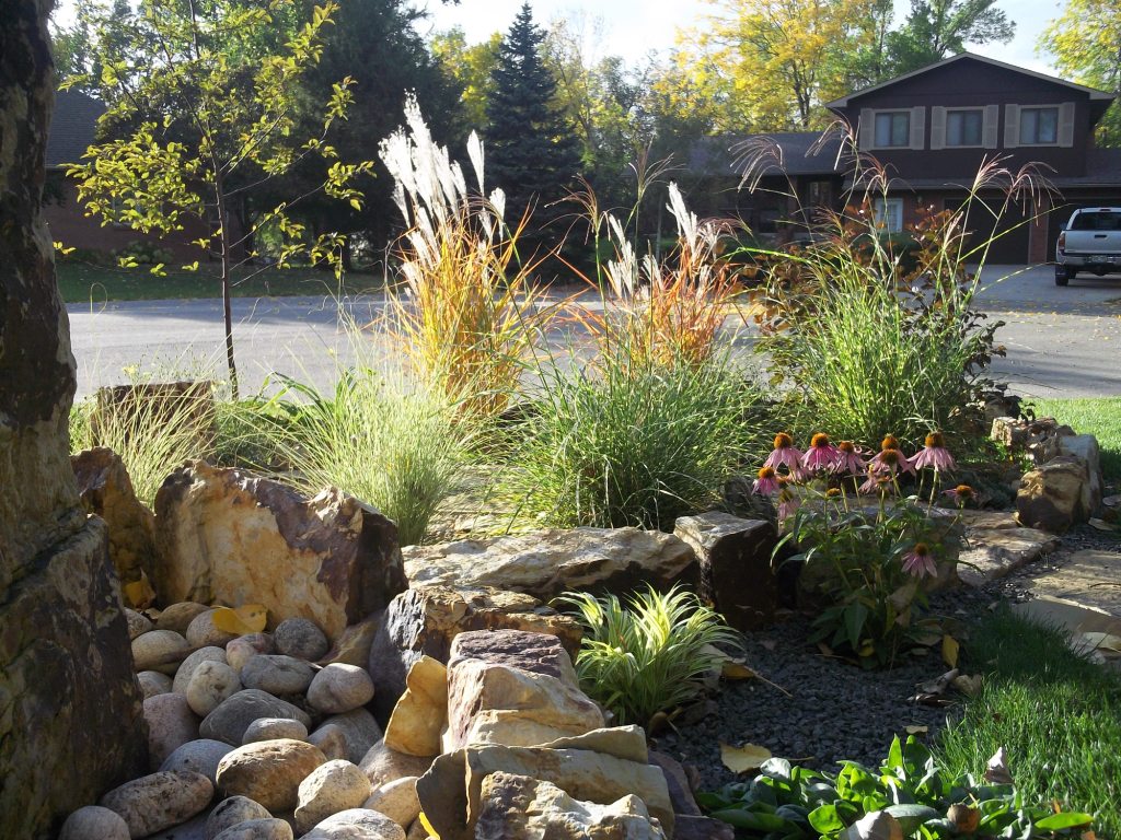 Dave's water feature garden in Colorado (Day 2 of 2 in David's garden ...