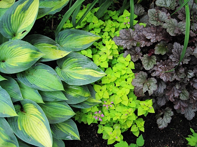READER PHOTOS! Jana's garden in Massachusetts - Fine Gardening