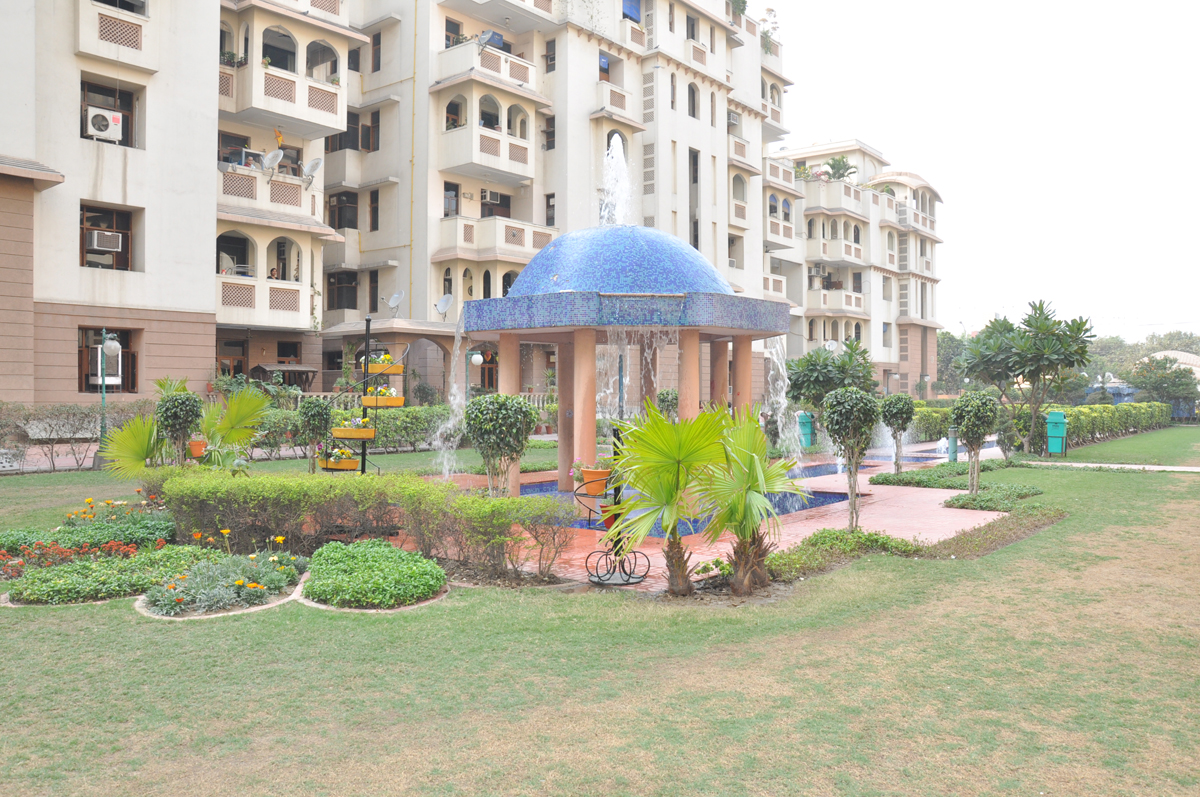 READER PHOTOS! Veneeta's garden in India - Fine Gardening