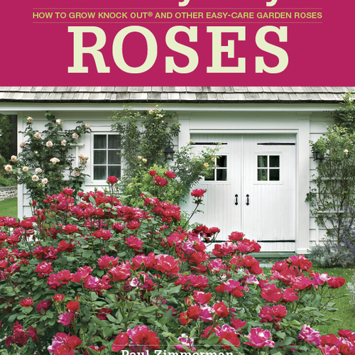 Everyday Roses Book Review - Fine Gardening