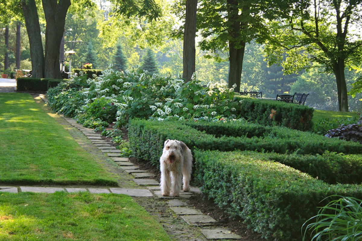 READER PHOTOS! Amy's garden in Ohio - Fine Gardening