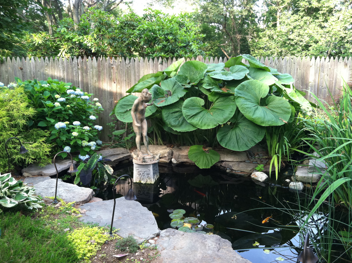 READER PHOTOS! Ann's garden in New York - Fine Gardening