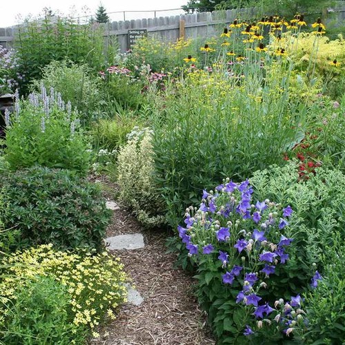 READER PHOTOS! Benjamin's garden in Nebraska - Fine Gardening