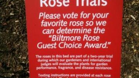 "Help Me Find Roses" The single greatest rose resource we have - and ...