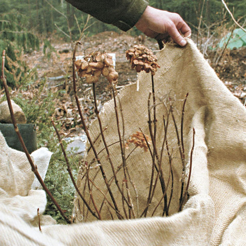 A Gardener's Checklist for Late Fall - Fine Gardening