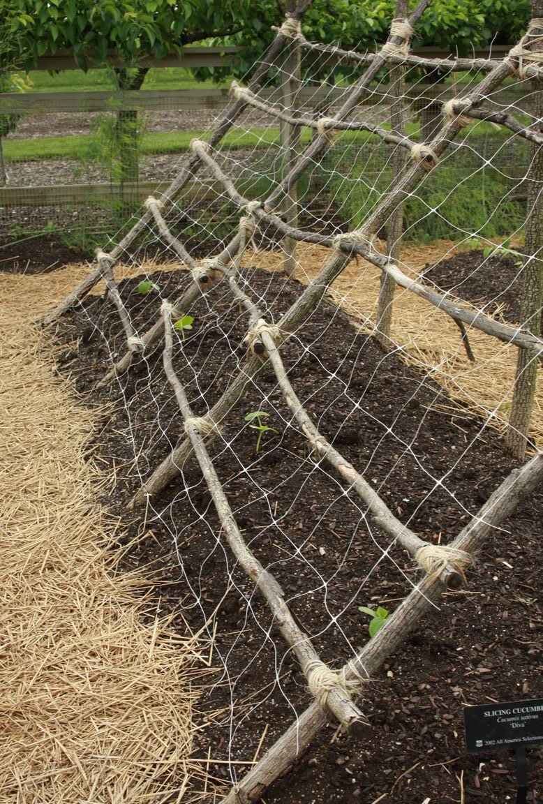 Veggie trellising ideas from Longwood Gardens - Fine Gardening