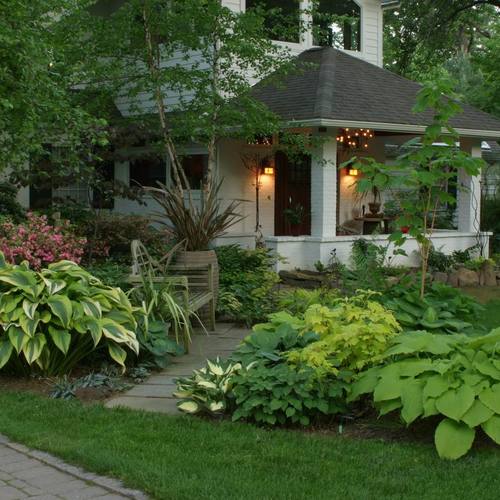 The most beautiful hosta in the world - Fine Gardening