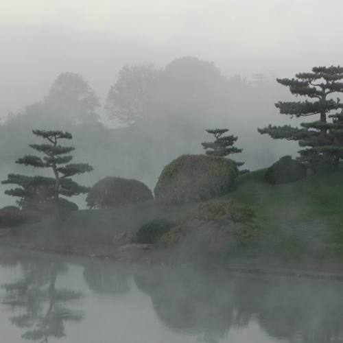 In the mist - Fine Gardening