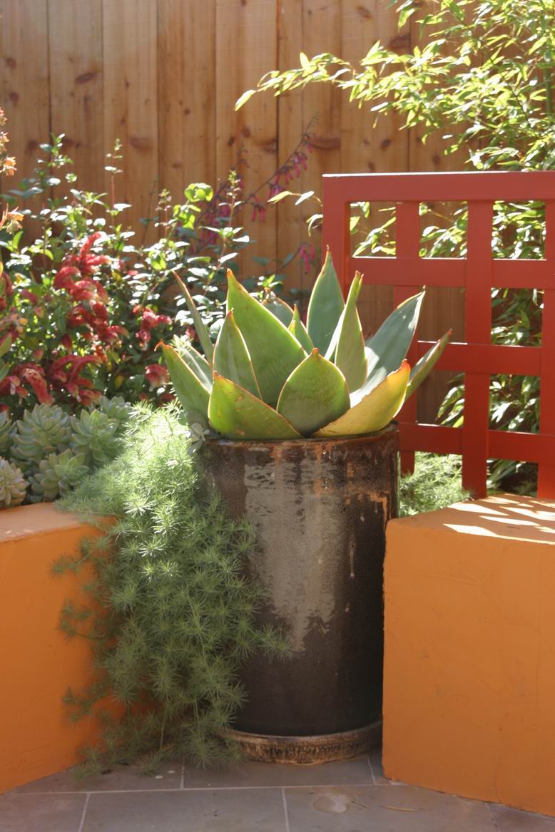 Matching plants to hardscape - FineGardening