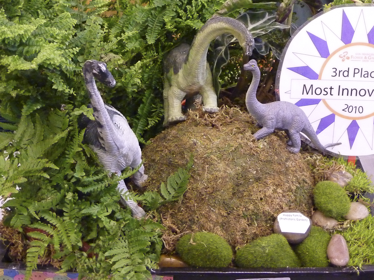 In A Dinosaur's Garden - FineGardening